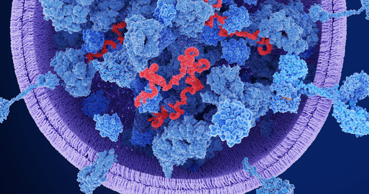 Exosomes - Texas | about.me