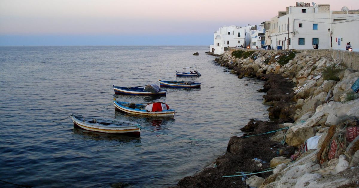 Felix Tusa - Tunis, DCAF, University of Oxford, Graduate Institute ...