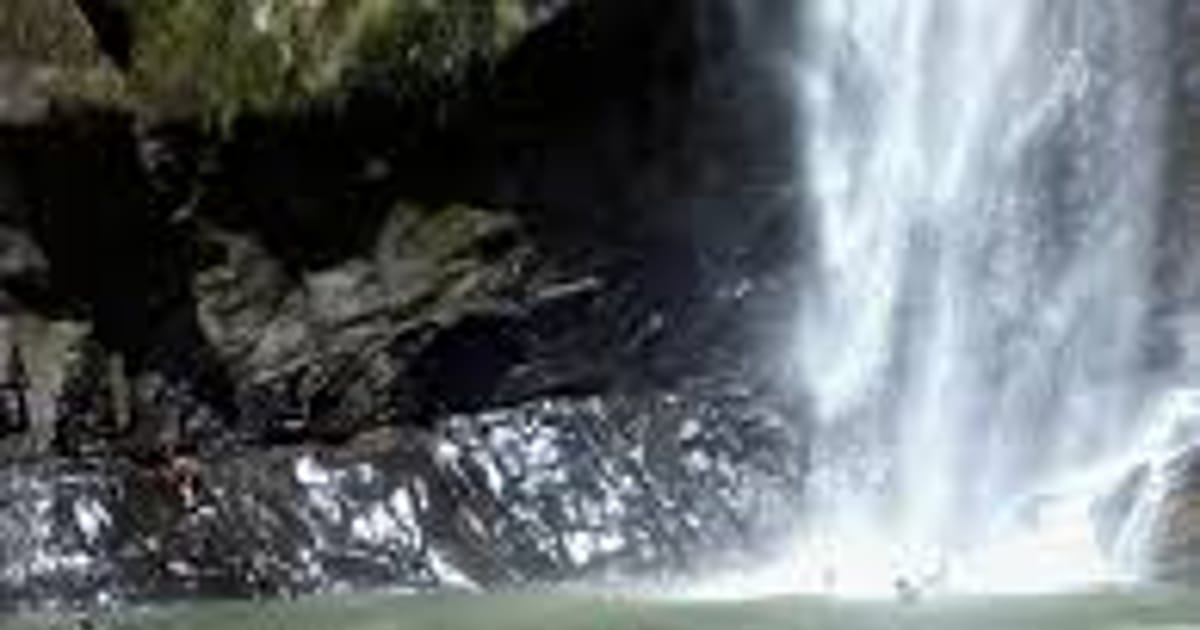 Felix Wheeler - jkt | about.me