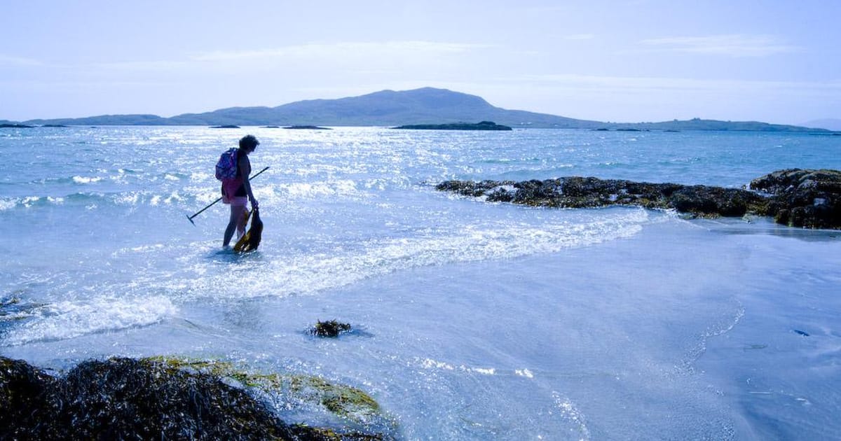 Fiona Bird - Western Isles, or Angus Scotland, Food Writer, Author ...