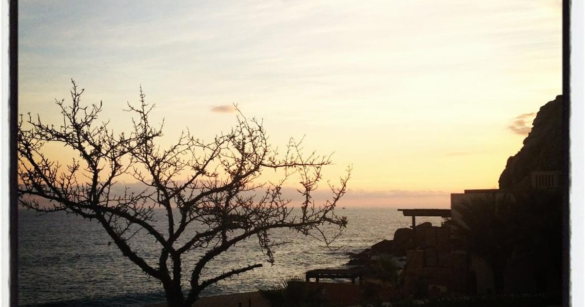 Stephanie Fleischaker - Orange County, Inland Empire, San Diego County ...