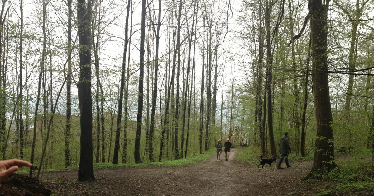 Francisca Stewart - London, United Kingdom, Editor, Copywriter ...