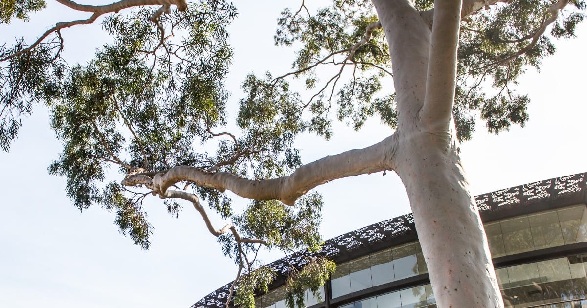 Frasers Restaurant - 60 Fraser Avenue, Kings Park West Perth, WA 6005 ...