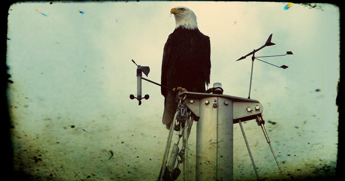 fred eagle | about.me
