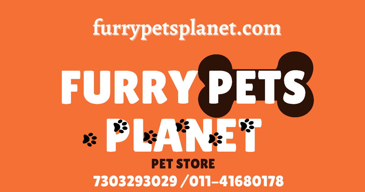 Furry Pets Planet - Delhi, India | about.me