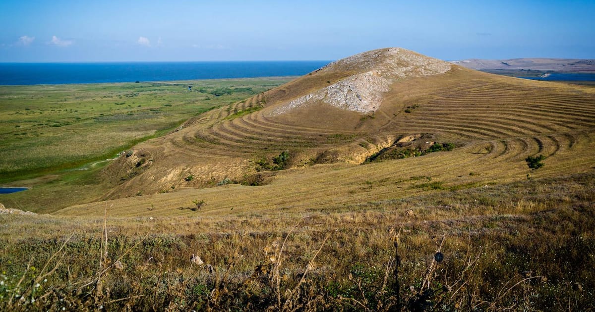 Bogdan Fusea - Bucuresti, Consultant vanzari, ASE Relatii Economice ...