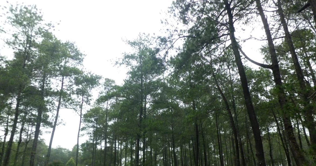 game outbound flying fox - bandung, promosi online | about.me