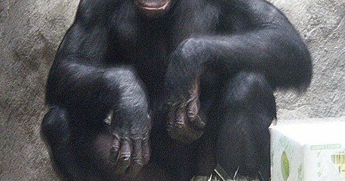 Garam Larka | about.me