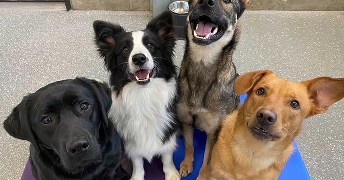 george meth - pluto | about.me