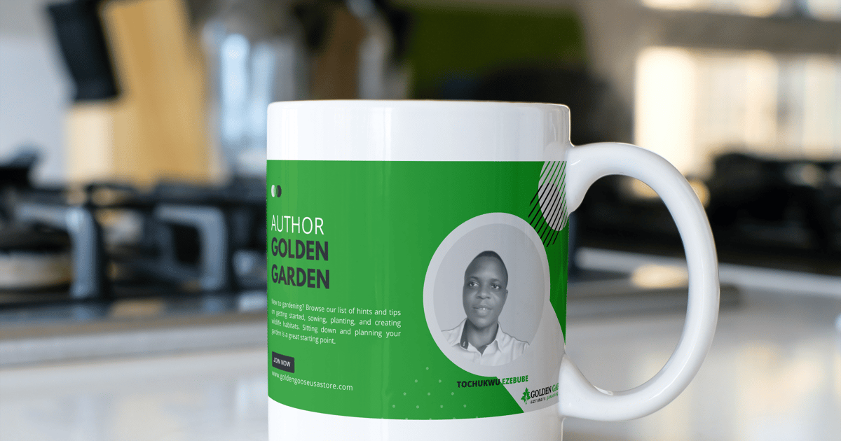 Tochukwu Ezebube - United State Of America | about.me