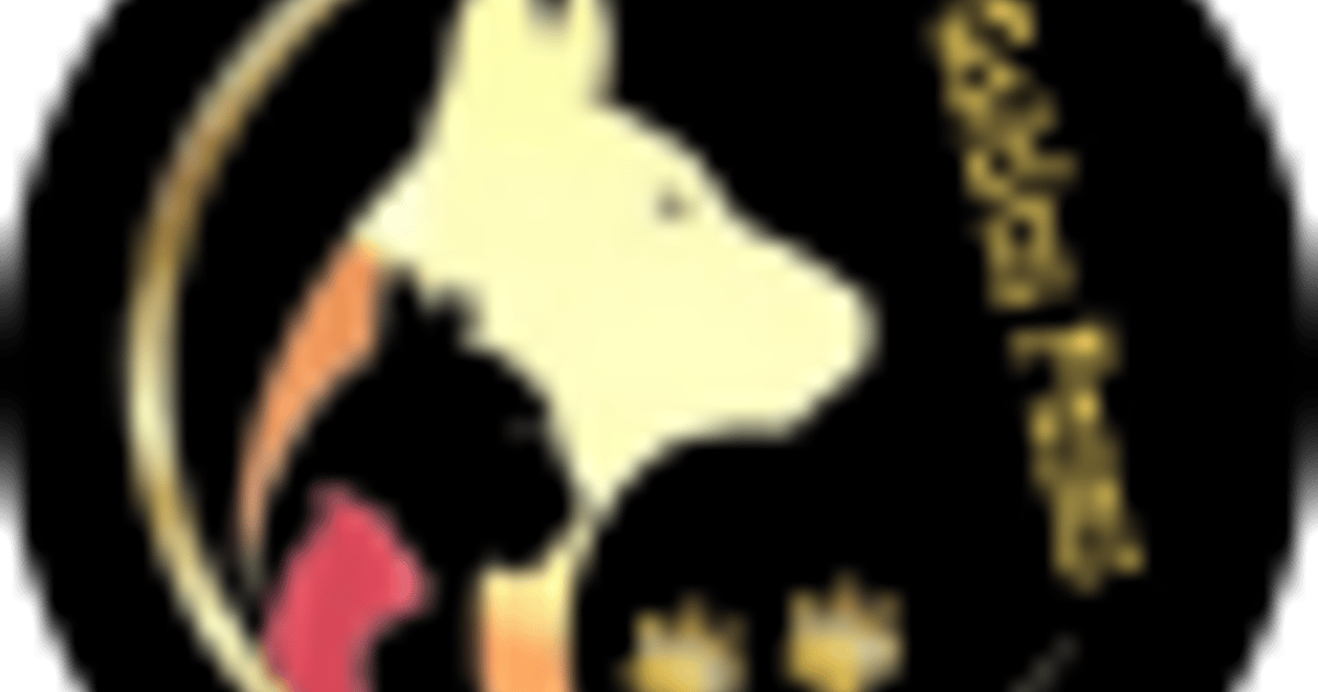 Golden Paws Group - UAE | about.me