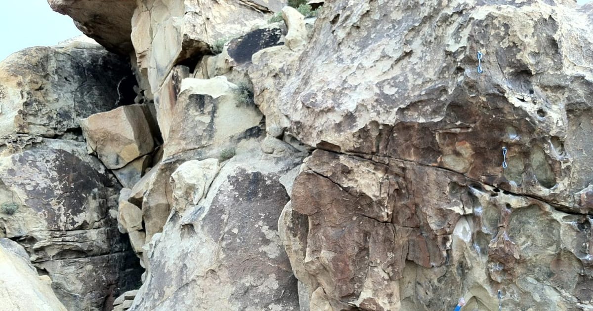 Greg Davis - Southern California | about.me