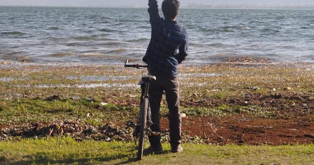 Hank Wang | about.me