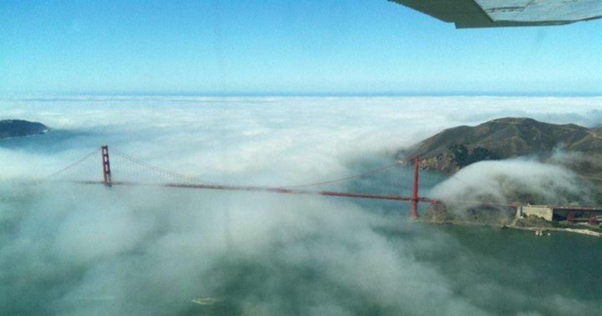 Holly Nielsen - California, Social Media Leader at IBM | about.me