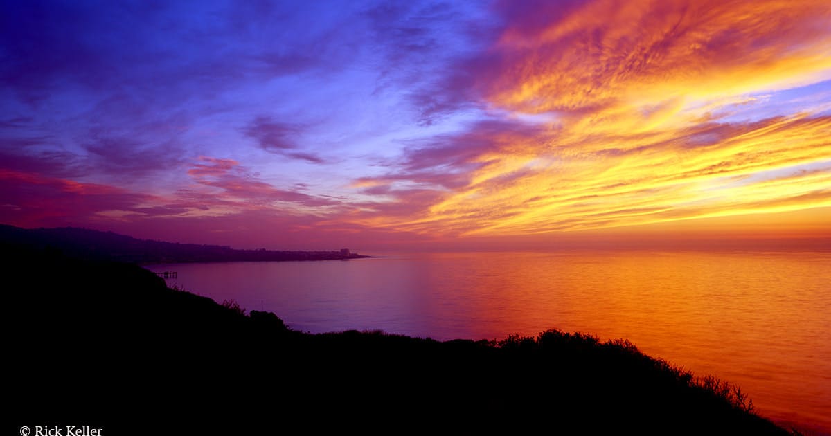 Holly Oliver - Asheville, North Carolina | about.me