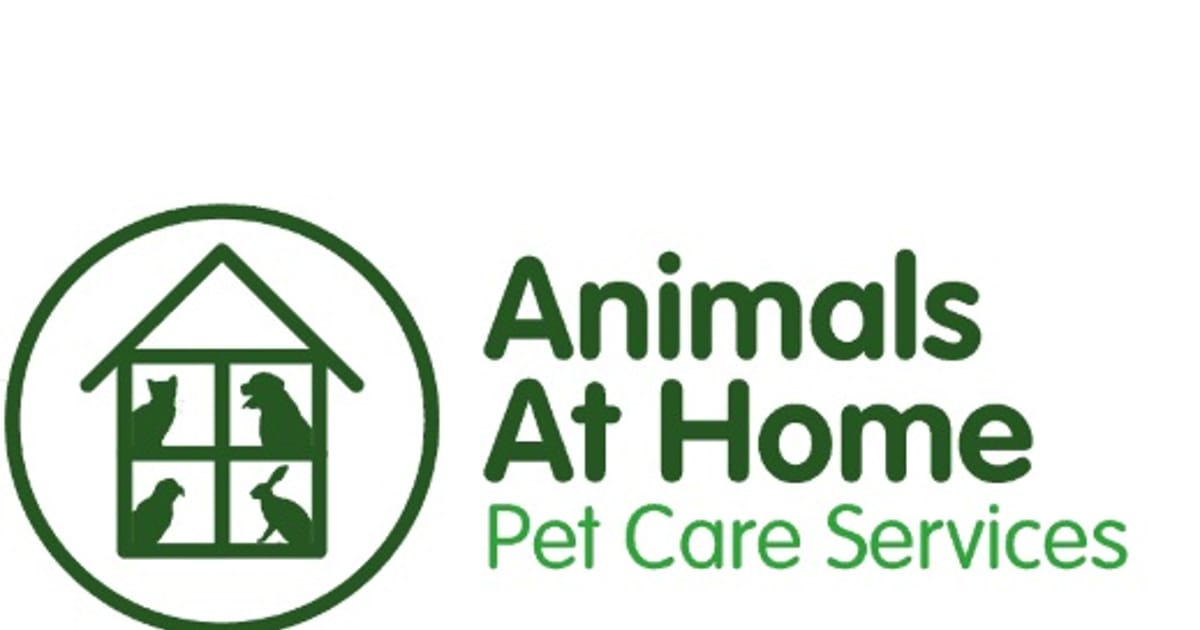 Animals At Home (Cornwall) - 21 Ventonleague Hill , Hayle , Cornwall ...