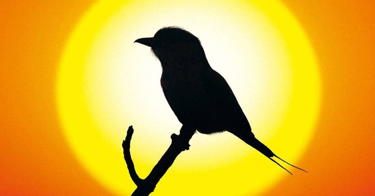 Hudson Perth - Perth, Western Australia | about.me