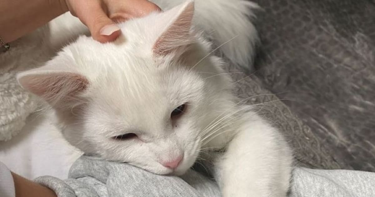 Elizabeth | about.me