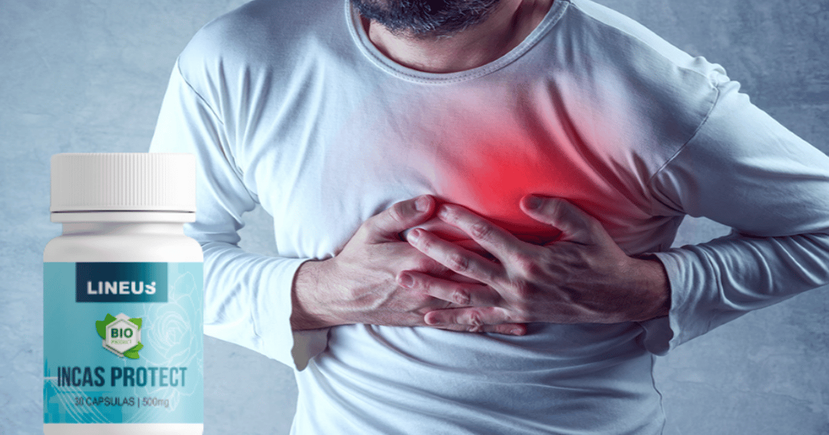 Incas Protect - Lima | about.me