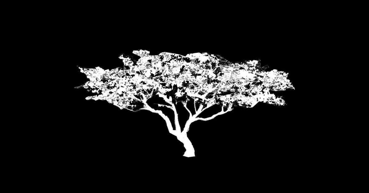 Ivan Oliveira - Curitiba | about.me