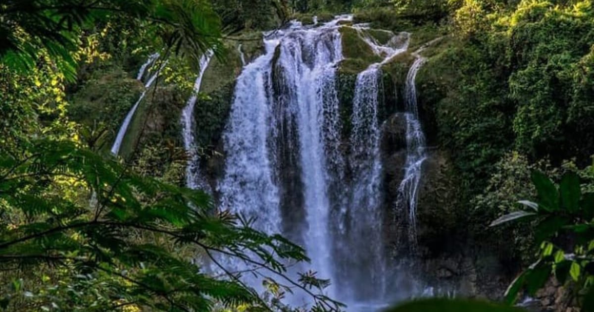 Jake Walker - santiago de los caballeros | about.me