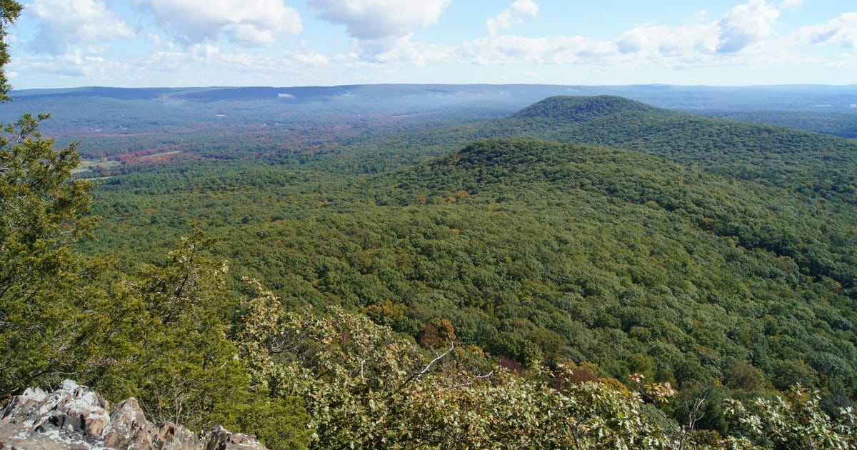 James Lefebvre - Amherst, Massachusetts, United States, University of ...