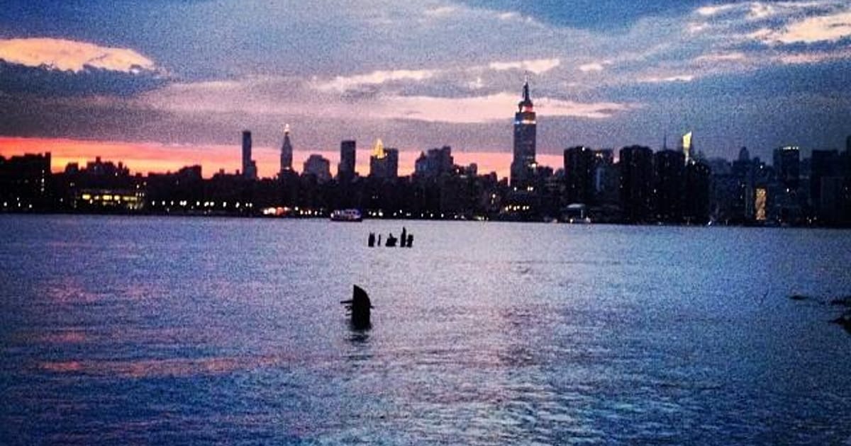 Jamie Rothstein - Newark, Delaware, United States, University of ...