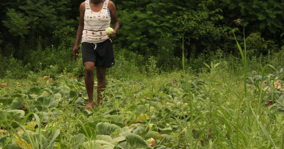 Janel Monet | about.me