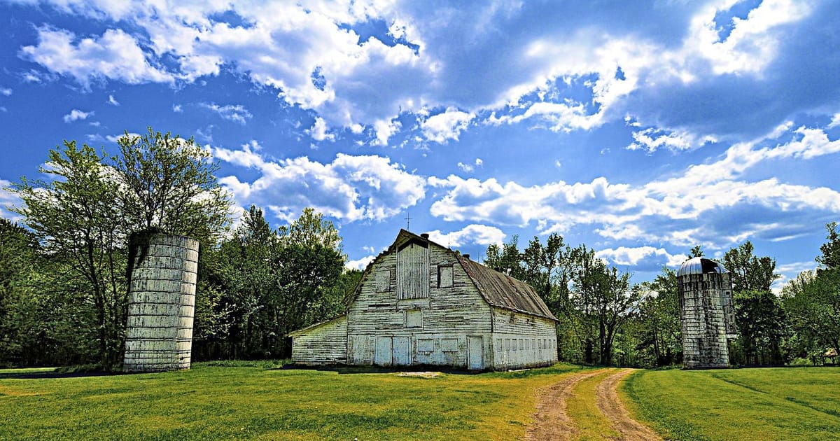 Janna Hall | about.me