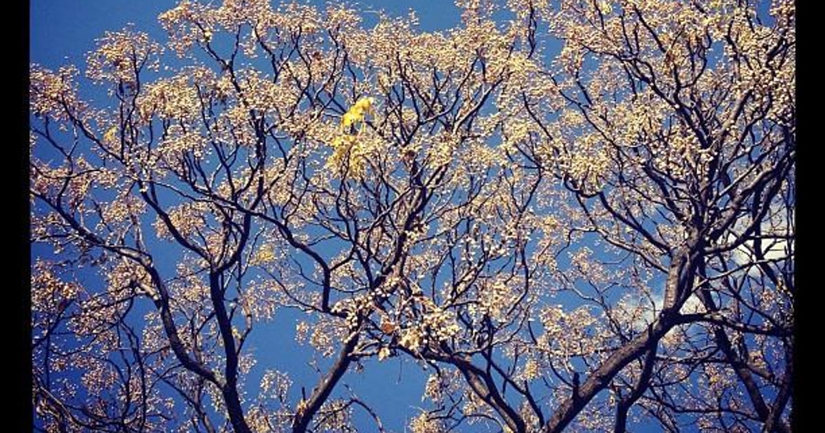 Jannes Eiselen - South Africa, The World | about.me