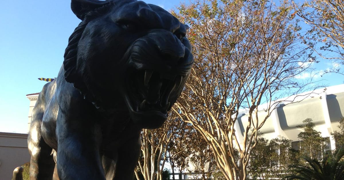 Joseph Dreyer - Baton Rouge, LA, Manager - AMC Theatres, Student at ...