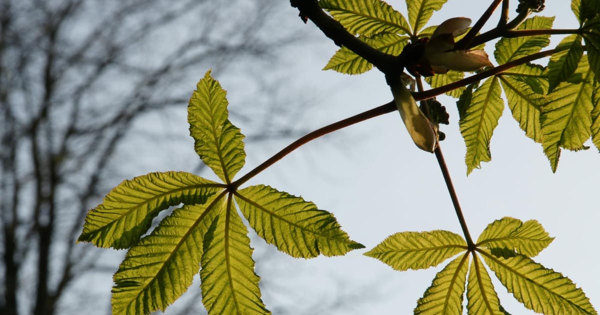 Jen Tiller - Letchworth, Hertfordshire, UK, Therapist, Trainer, Author ...