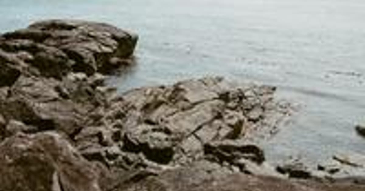 Jennell Lasonya - 90008 | about.me