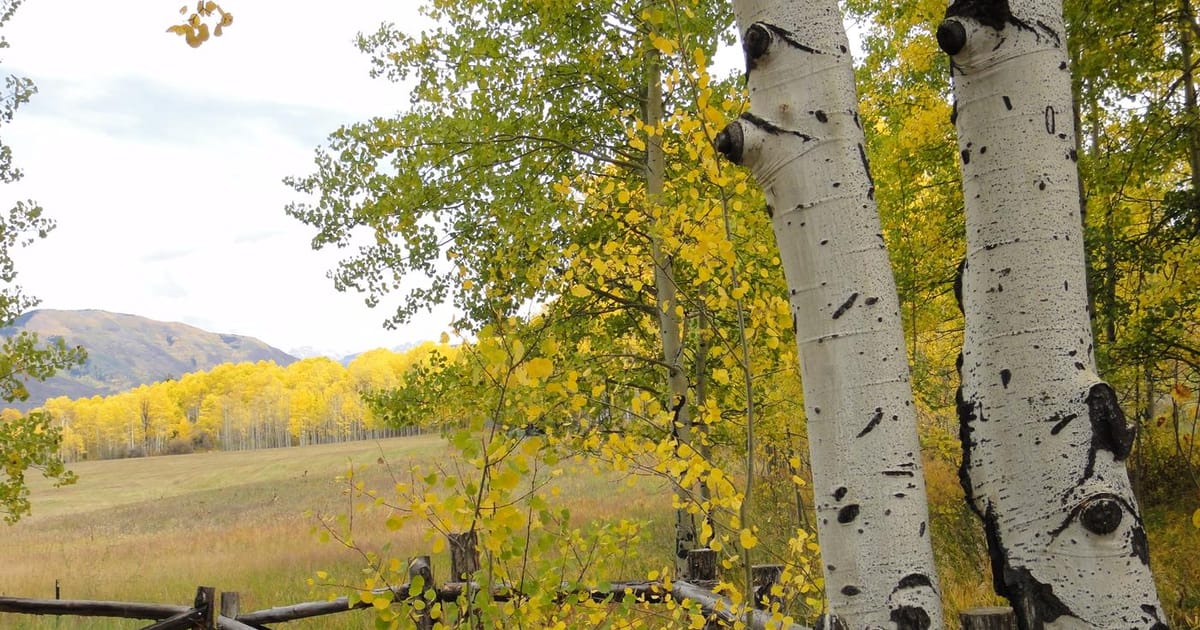 Jennifer Halligan - Colorado, Literary Publicist, University of Denver ...