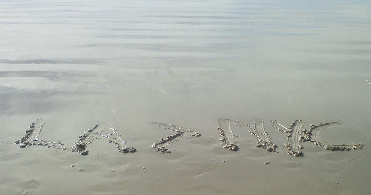 Jennifer Kamara - Los Angeles, Strategic Planning Consultant, B.A ...