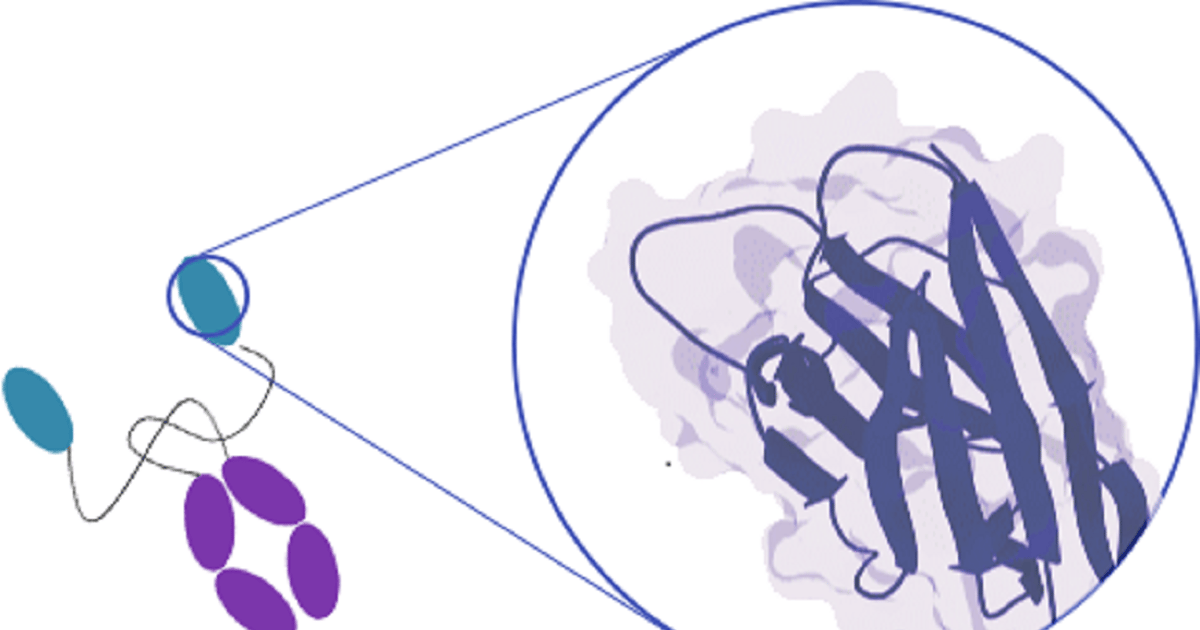 Jerry Carter - USA | about.me