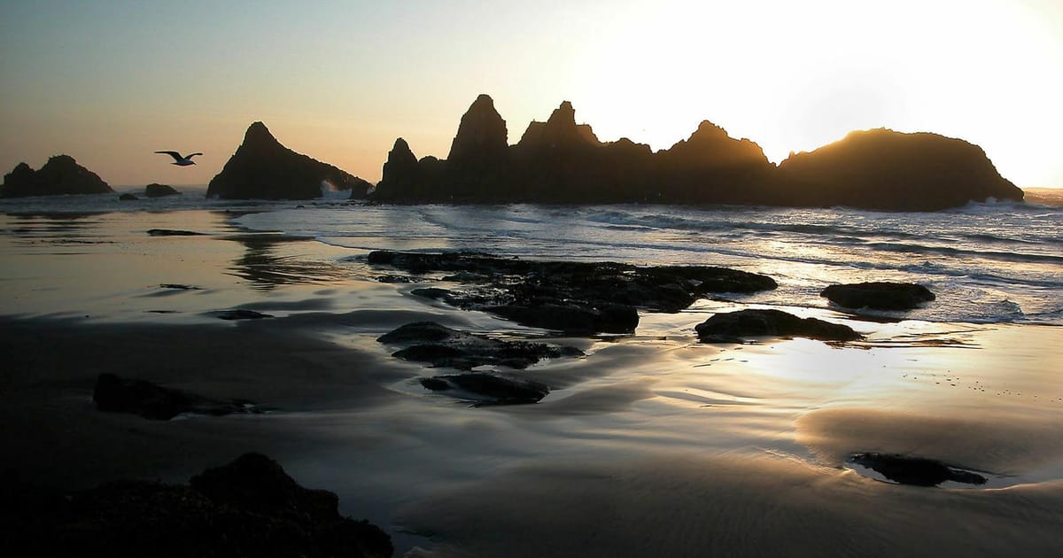 Jerry Townsend - San Antonio, Texas, Zig Zag, Oregon, Texas A&M ...