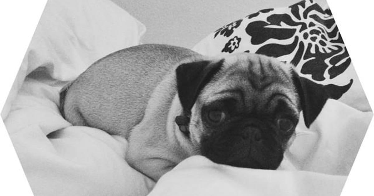 Jessica Buckner - Portland, Oregon Area, University of Oregon | about.me