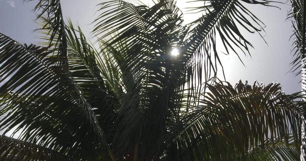 Jessica Wohl - Chicago, Ill., Rutgers University | about.me