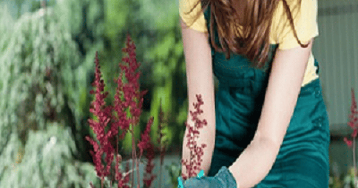 Jet Washing Services - 164 Clapton Common London, Greater London E5 9AG ...