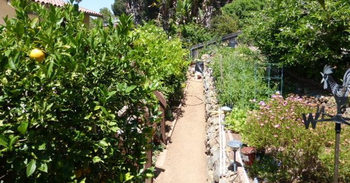 Jim Renfro | about.me