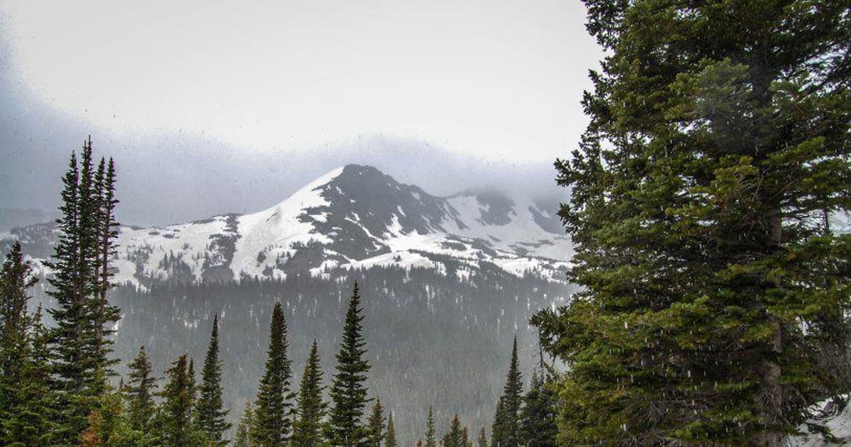 John Patterson - Fort Collins, Colorado, United States | about.me