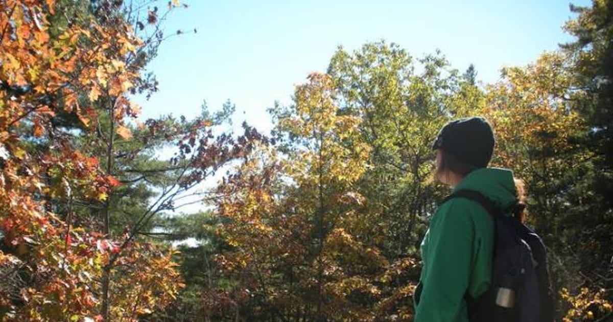 Jordan Eck - Ellington, Connecticut, Specialty Team Member, Whole Foods ...