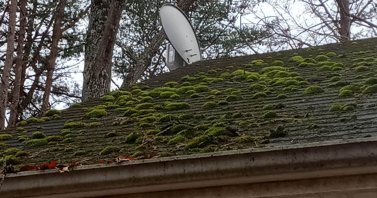 Samuel Joseph - USA | about.me