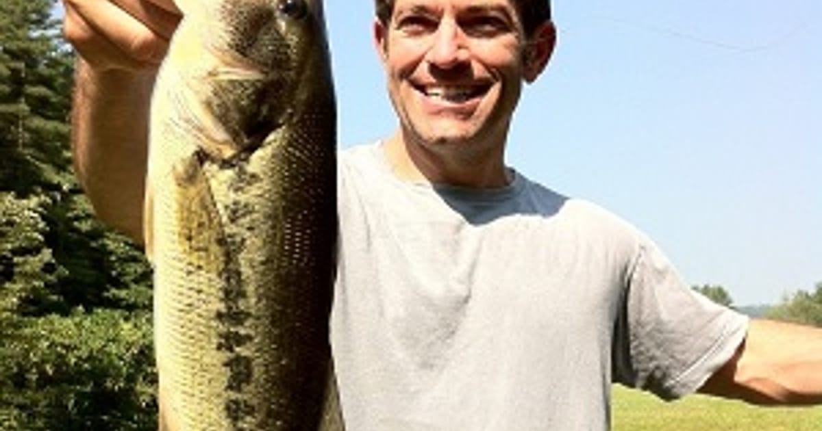 Joseph Lee Levinson - Raleigh, NC, US, Levinson & Axford Law PA ...