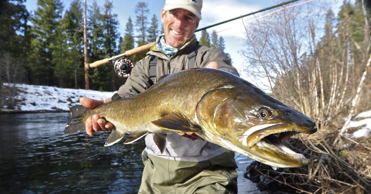 Josh Reed - Bend, OR | about.me