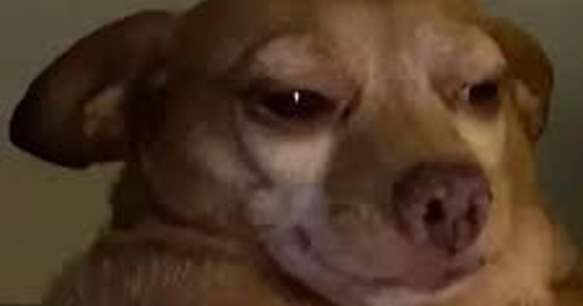 Joshua Fernandes - London | about.me