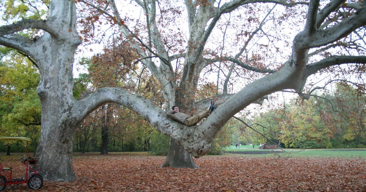 Juan Ángel Collado - Madrid - Spain, Director deportivo, Jefe ...