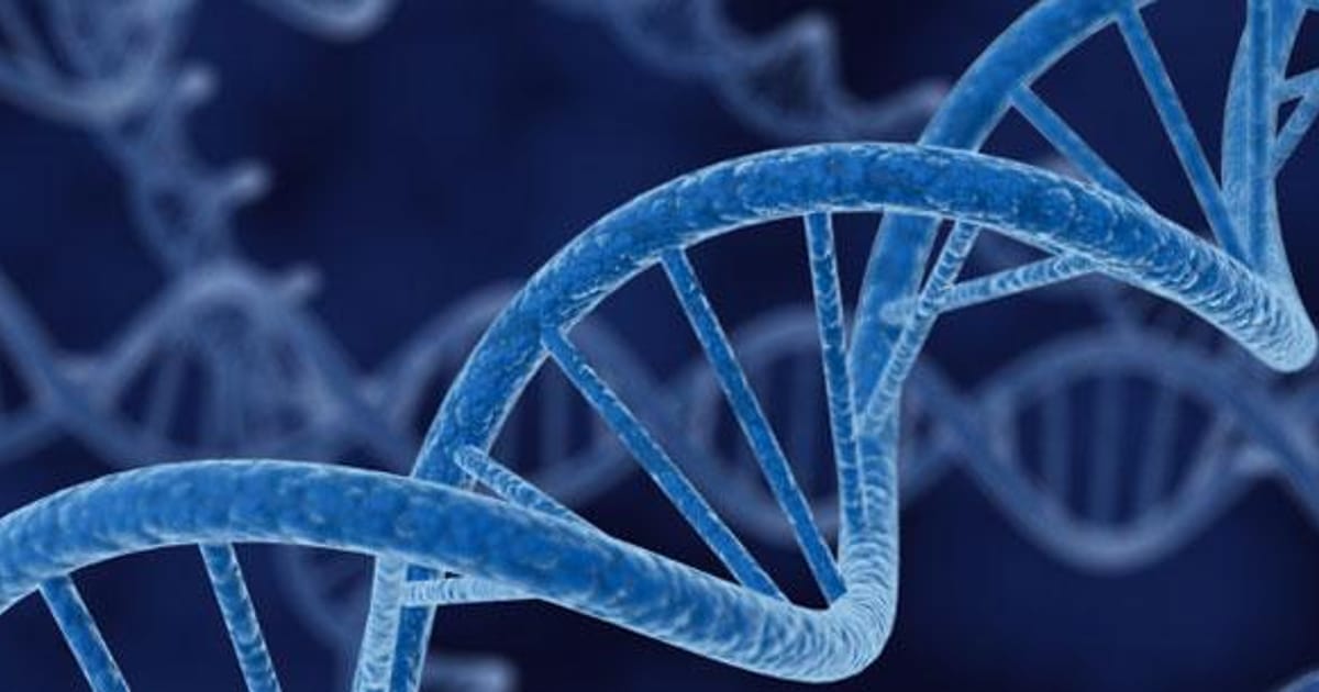 Julie Mazur - Teacher's Assistant at Saint Blase Polish School, Saint ...