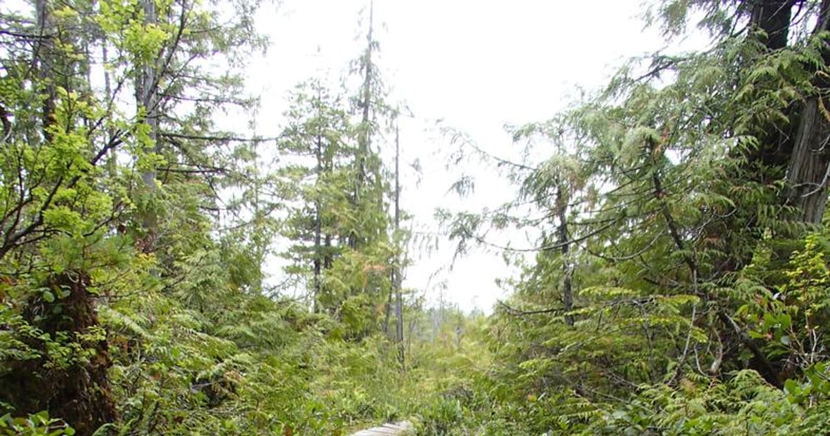 Kally Robinson - Vancouver, BC, Burnaby School District, Brock ...